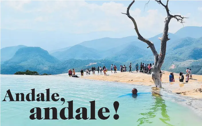 ANDALE, ANDALE - PressReader