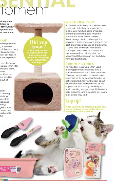 ESSENTIAL equipment - PressReader