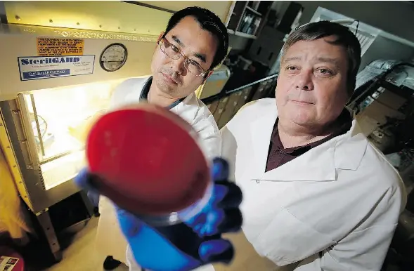 ‘NIGHTMARE’ BACTERIA - PressReader