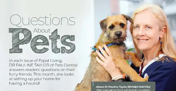 Questions About Pets - PressReader