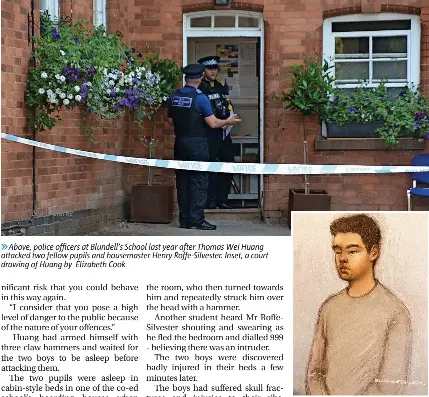 Identity of student, 17, jailed for savage hammer attack revealed ...