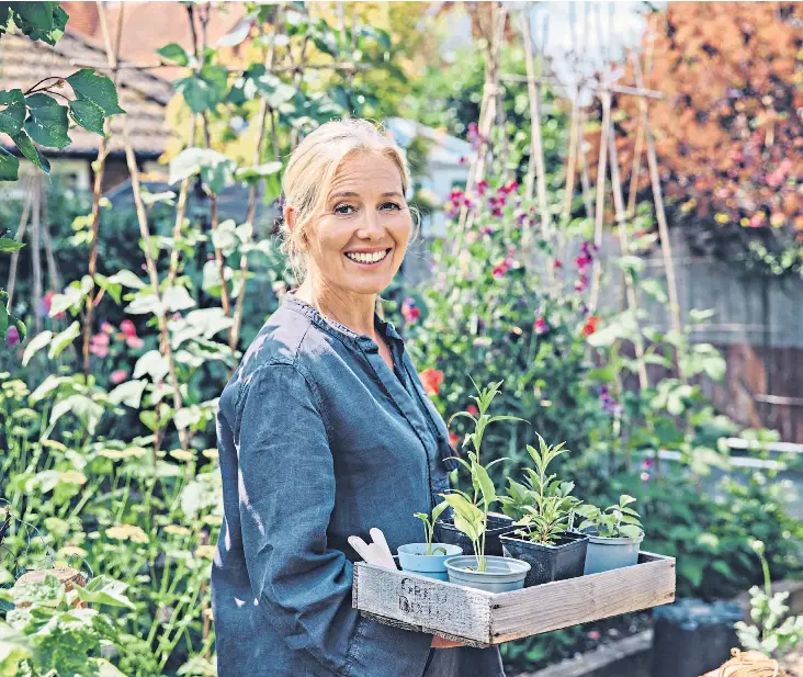 Everything you need to know to grow flowers from seed - PressReader