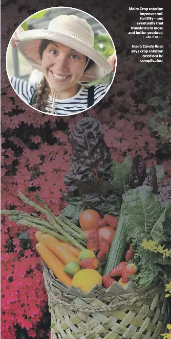 Even beginning gardeners can use crop rotation - PressReader