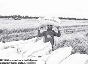 Rice stockpile of government good for 4 days, says NFA - PressReader