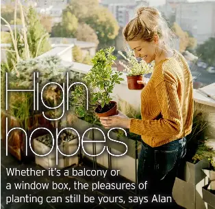 High hopes - PressReader