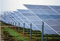 Energiebau­ern wollen einen Solarpark bei Allenberg bauen - PressReader