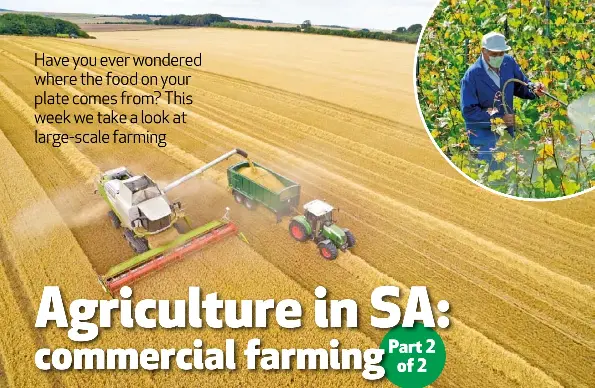 Education: commercial farming - PressReader