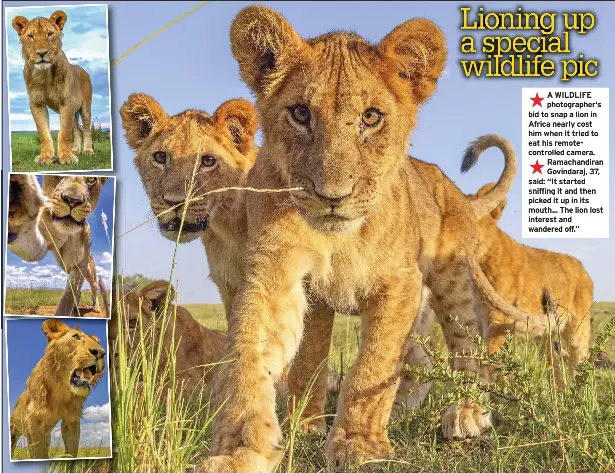 Passenger cap pause extended - PressReader