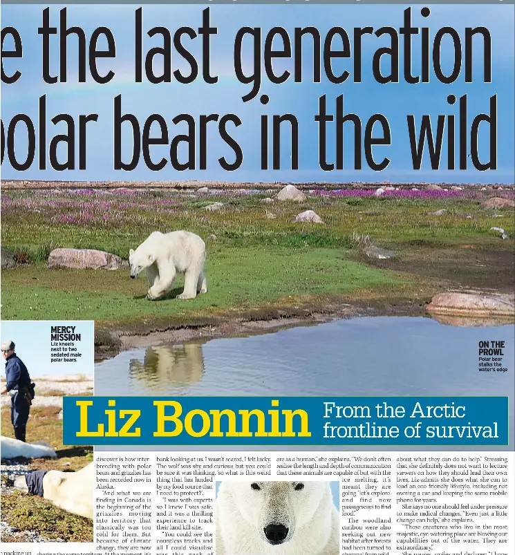 E the last generation olar bears in the wild Liz Bonnin - PressReader