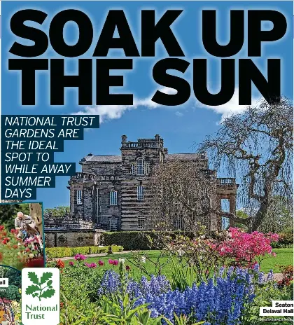 SOAK UP THE SUN - PressReader