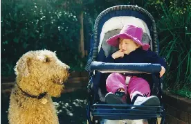 After losing our family dogs, we couldn’t bear more grief. Then Covid ...