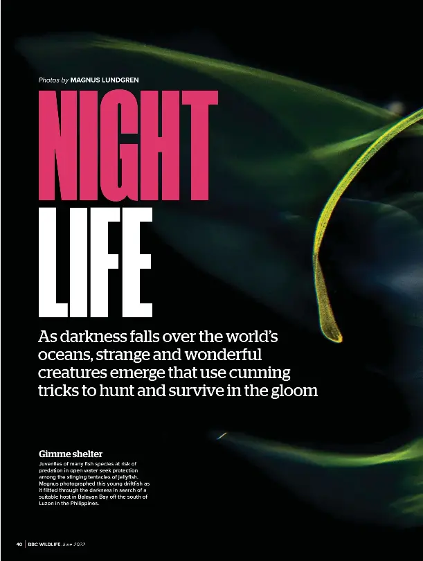 Cover feature: the world’s strangest sea creatures - PressReader