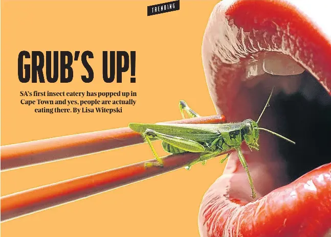 GRUB’S UP! - PressReader