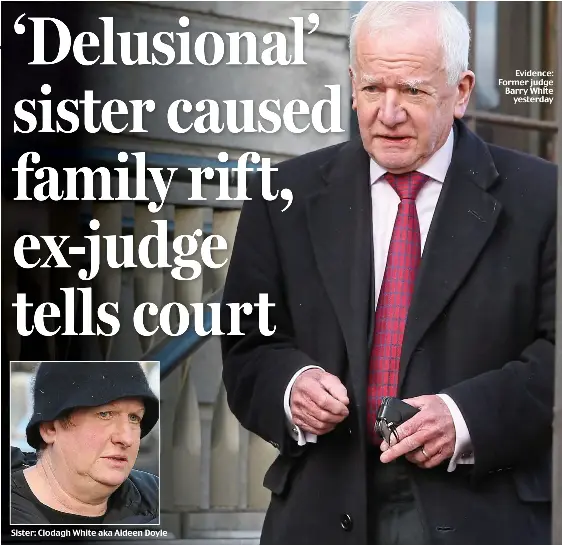 ‘Delusional’ sister caused family rif t, ex-judge tells court - PressReader