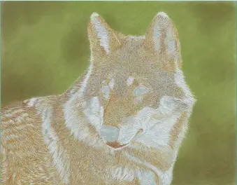 Demonstrat­ion - PressReader