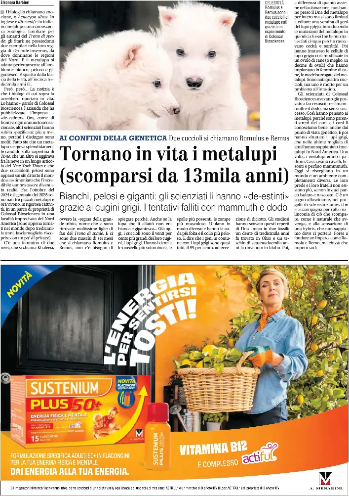 Tornano in vita i metalupi (scomparsi da 13mila anni) - PressReader