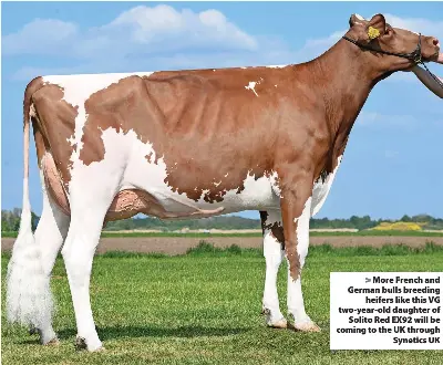 2024 transforma­tion for cattle breeding company - PressReader