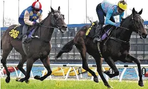 ONG’S MEGA BLAZE SETS TRIALS ON FIRE - PressReader