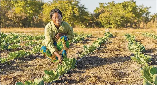 How farmers can contribute to climate smart agric - PressReader