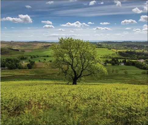 Lockdown photo essay - PressReader