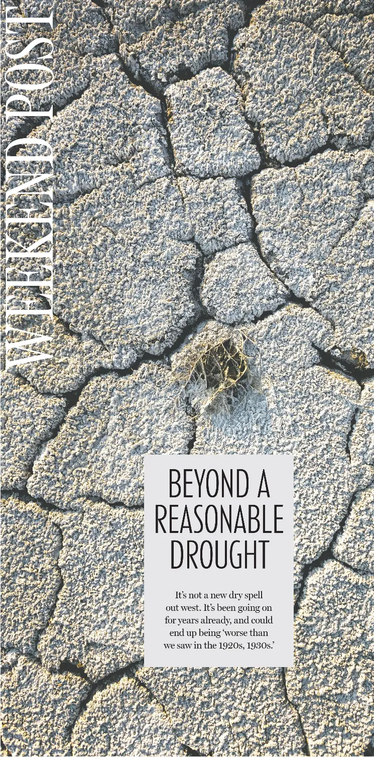 BEYOND A REASONABLE DROUGHT - PressReader