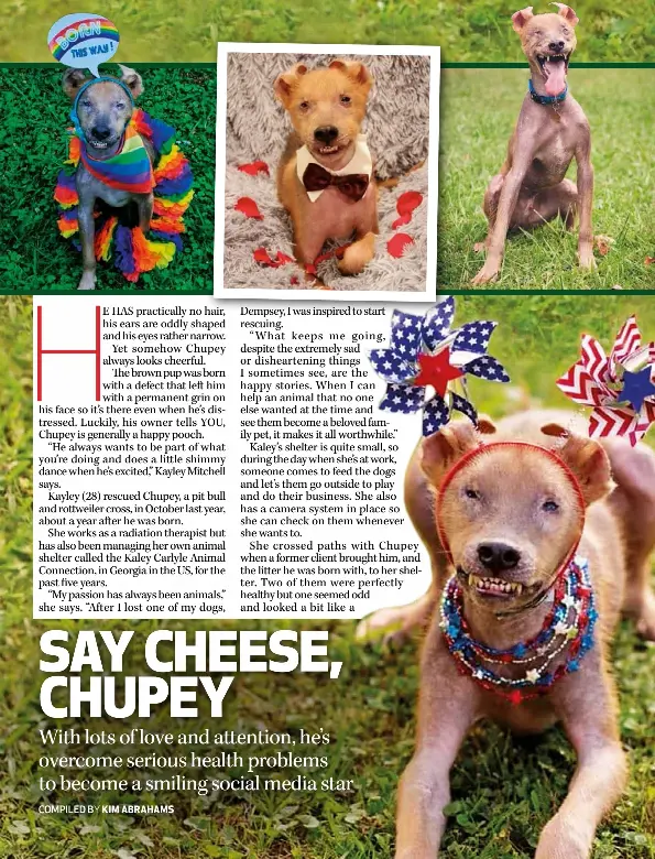 Cheerful Chupey, the smiling dog - PressReader