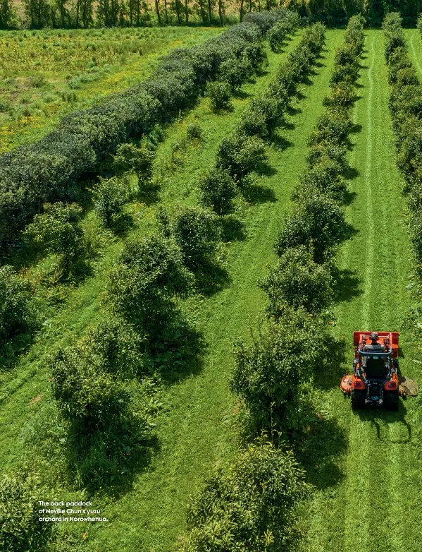 UNIQUE FRUITS - PressReader