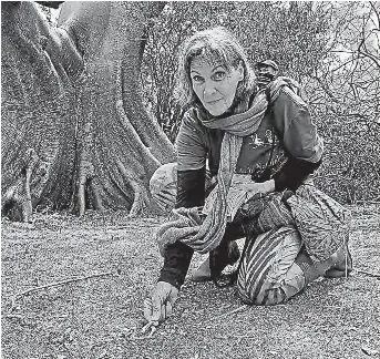 BRUNETTI, PASIÓN POR LAS AVES - PressReader