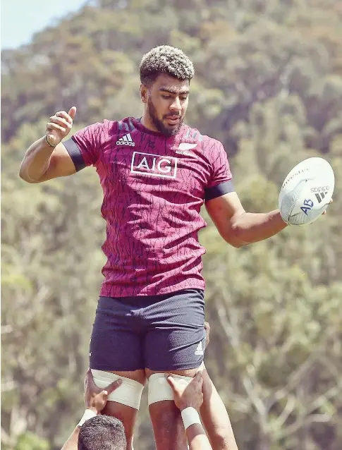 Sotutu, Hodgman To Face Pumas - PressReader