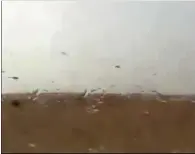 Some parts of Qatar see scattered rain - PressReader