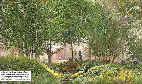 Visitors to get first look at zoo’s ‘African Forest’ - PressReader