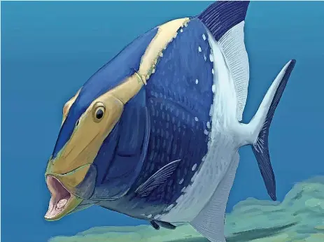 Prehistori­c fish fossil finding gives world something to chew on ...