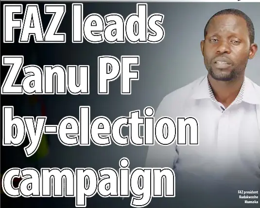 FAZ leads Zanu PF by-election campaign - PressReader