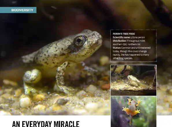 BIODIVERSI­TY - PressReader