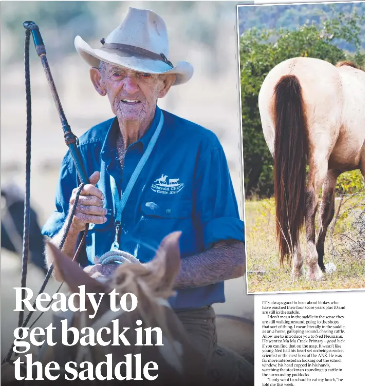 Ready to get back in the saddle - PressReader