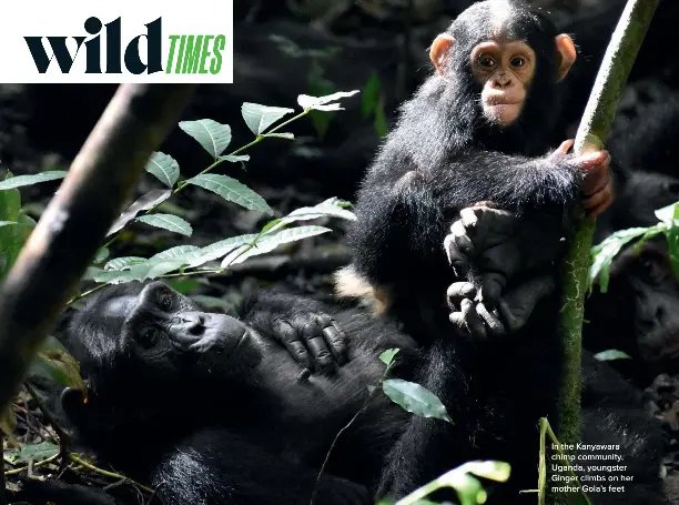 The importance of child’s play - PressReader