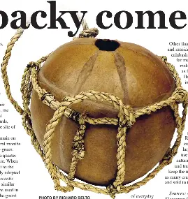 ‘Bowl go, packy come!’ - PressReader