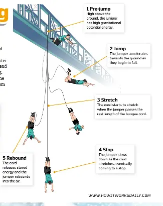 Bungee jumping - PressReader