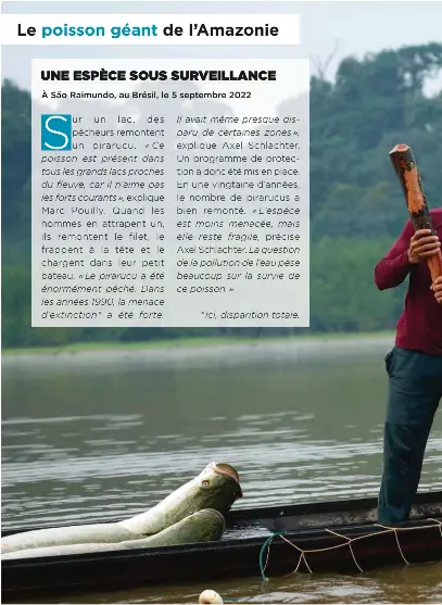 UNE ESPÈCE SOUS SURVEILLAN­CE - PressReader