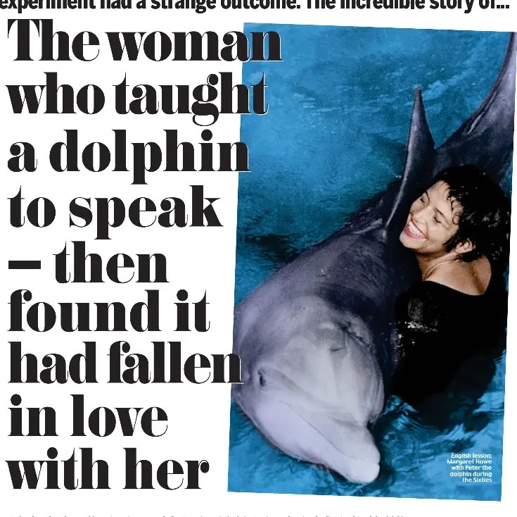 The woman who taught a dolphin to speak – then found it had fallen in ...