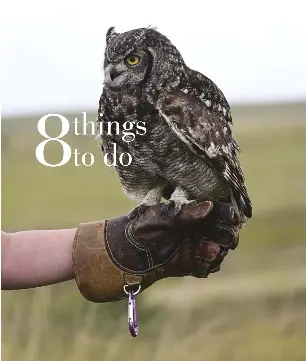 8 things to do - PressReader