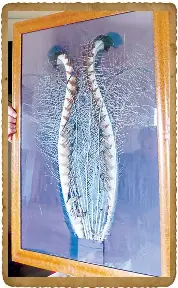 Snapshot of the past - PressReader