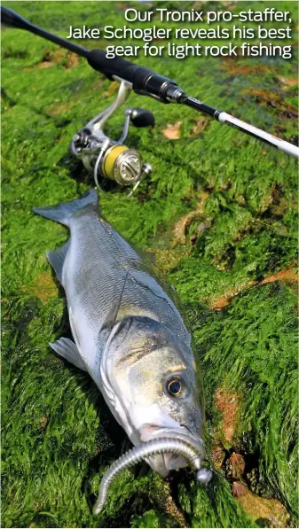 TOP LRF GEAR - PressReader