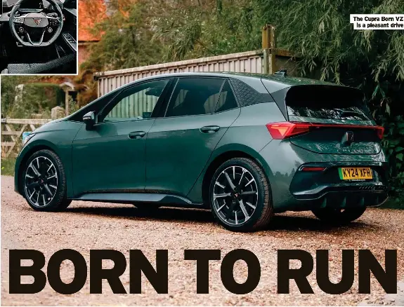 BORN TO RUN - PressReader