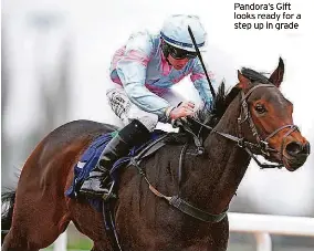 Gift horse is too good to overlook at Chelmsford - PressReader