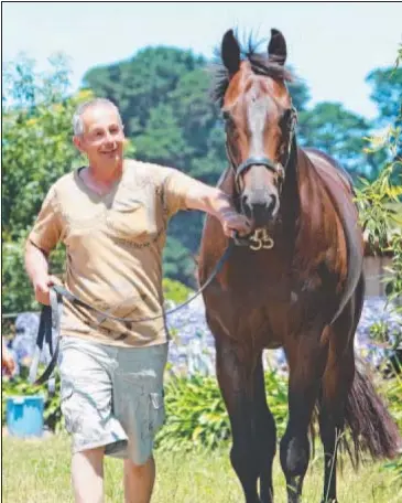 Stayer can find his beat - PressReader