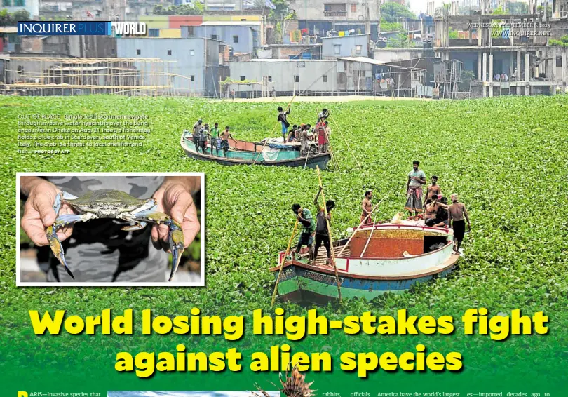 World losing high-stakes fight againstali­en species - PressReader
