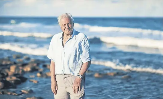 A prequel to Alien, the world’s oceans and Flintoff’s fight for life ...