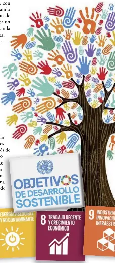 Ciudadano ambientali­sta: La enseñanza de la protección del ambiente ...