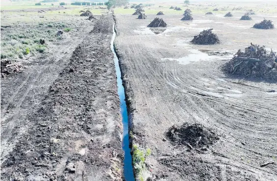 Remedial work to wetland ordered after wide damage - PressReader
